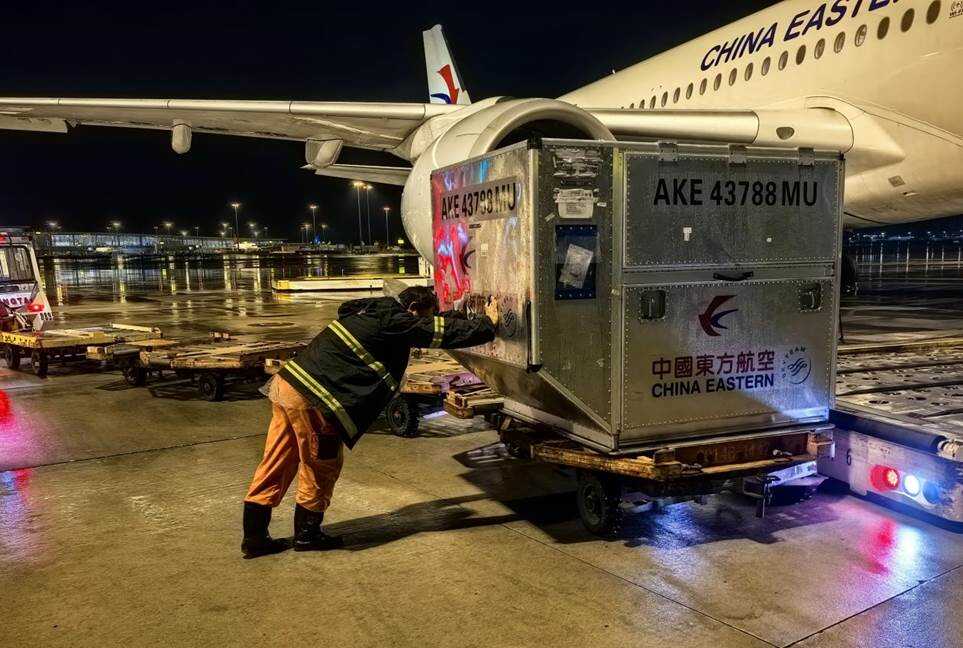 台风“竹节草”过境上海后，东航有序恢复沪、浙两地航班运力 - 民用航空网